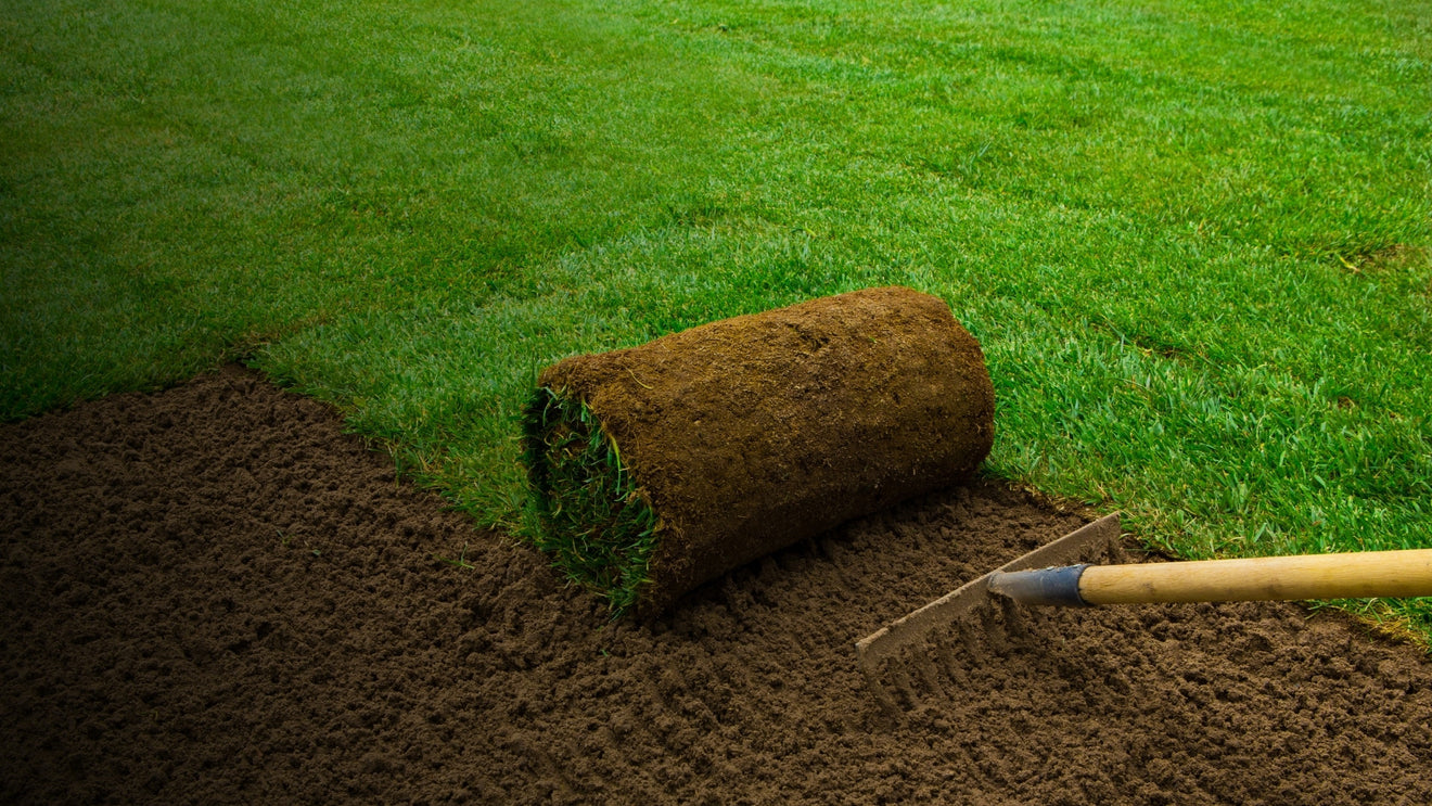 London Lawn Turf Co. Sevenoaks | Fresh Turf & Topsoil at Polhill
