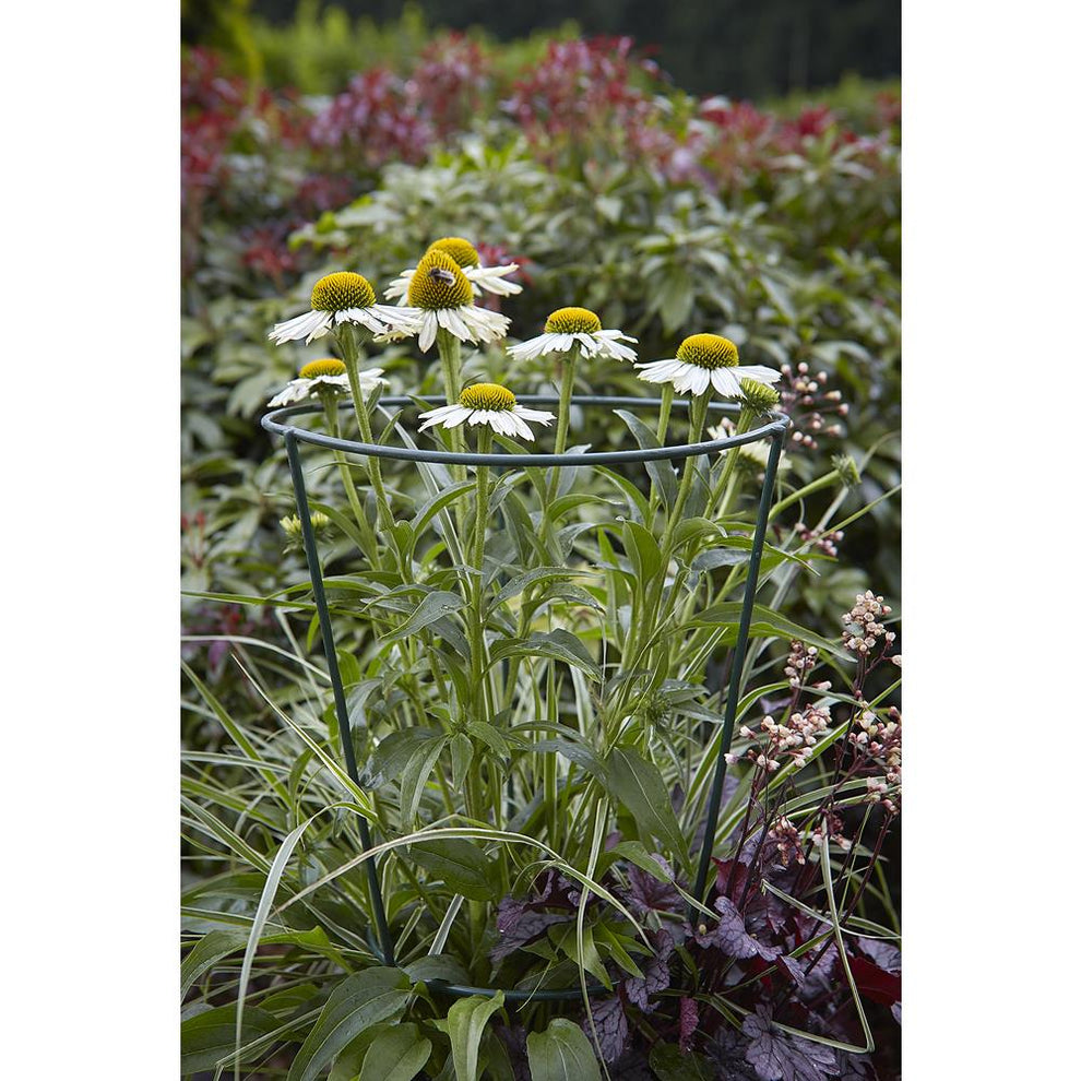 Urban conical support medium – Polhill